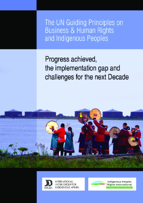 The UN guiding principles on business & human rights and Indigenous ... The UN guiding principles on business & human rights and Indigenous ...